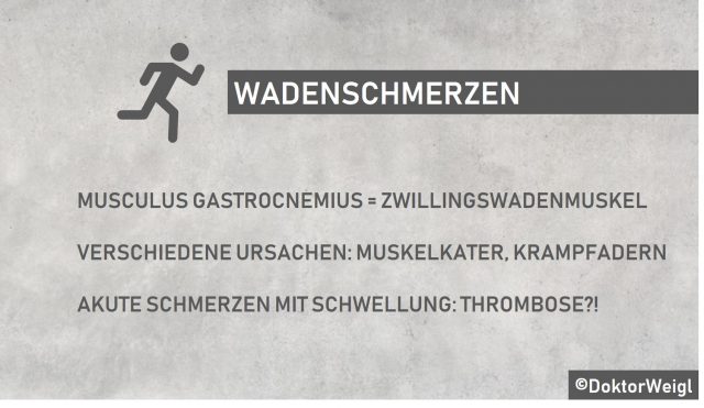 DoktorWeigl erklärt Wadenschmerzen durch Muskelkater, Ischias oder ...