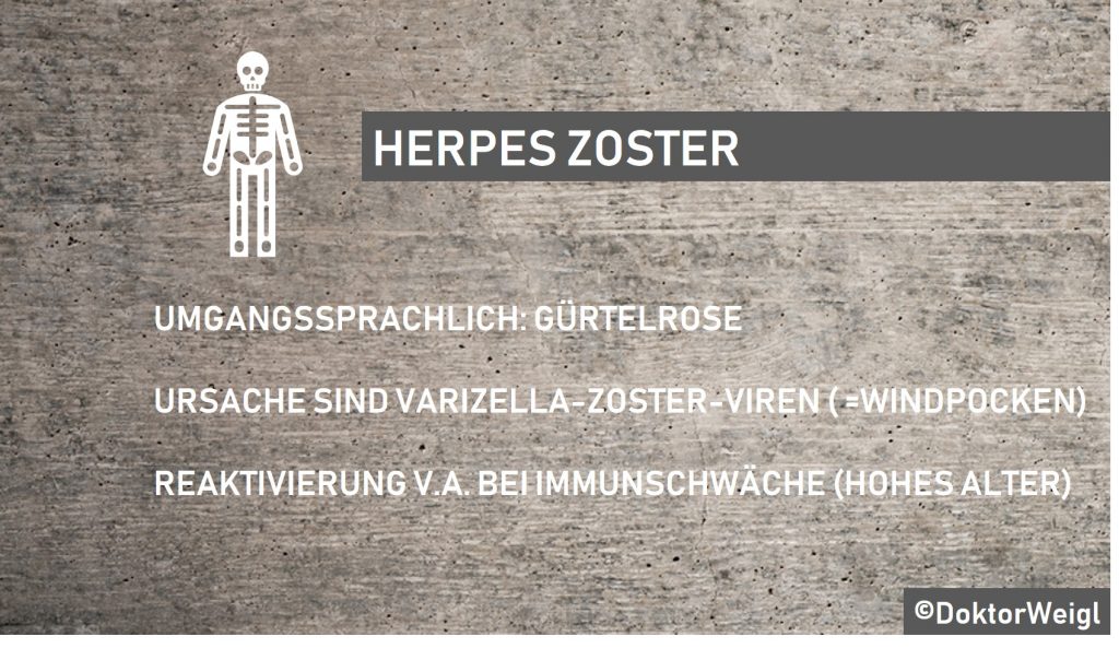DoktorWeigl erklärt Gürtelrose (Herpes Zoster) – eine unangenehme Folge ...